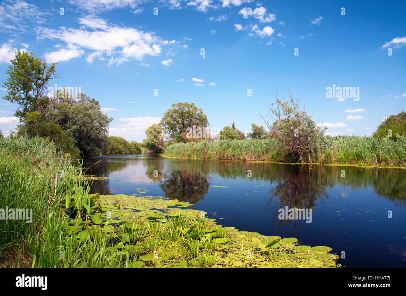 environment, enviroment, summer, summerly, hungary, landscape, scenery ...