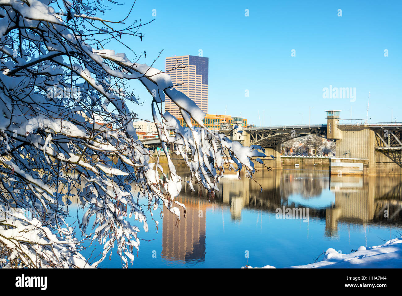 Snow covered branches in downtown Portland, Oregon with the Morrison ...