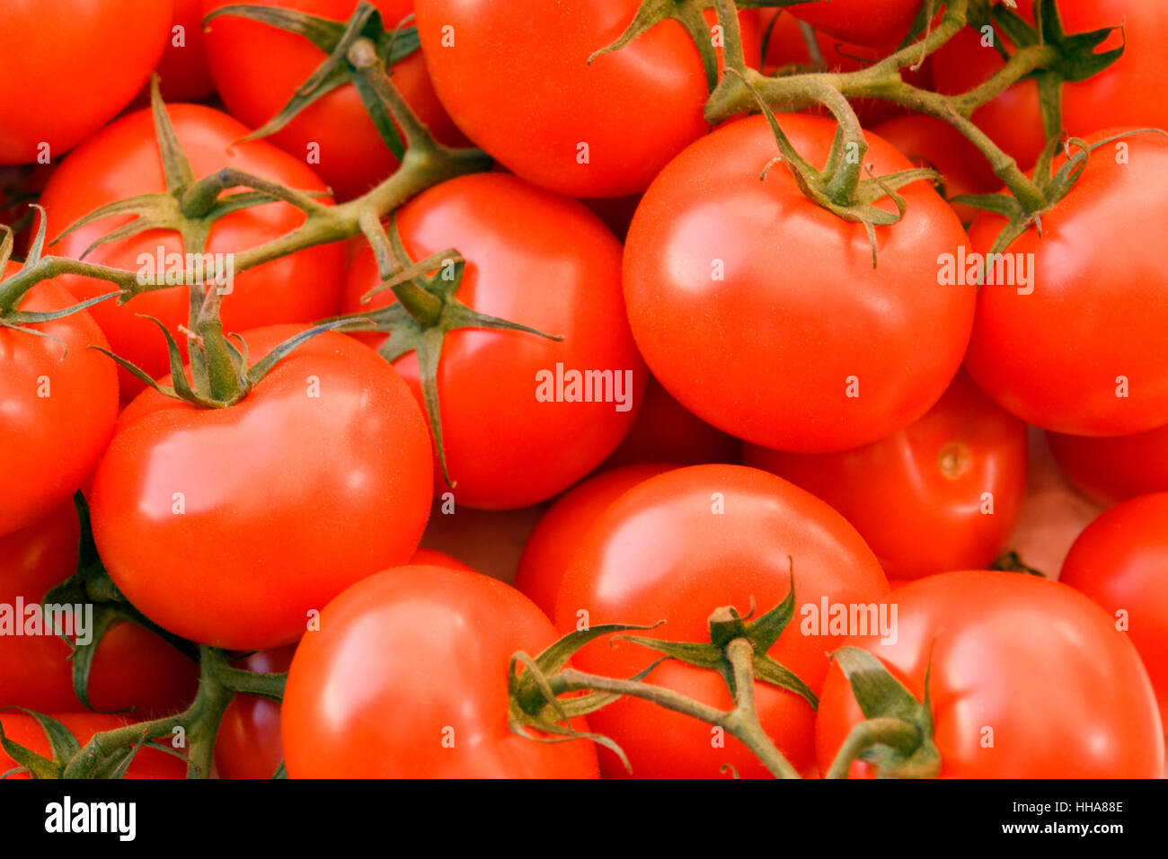 full frame background with lots of fresh red tomatoes Stock Photo - Alamy