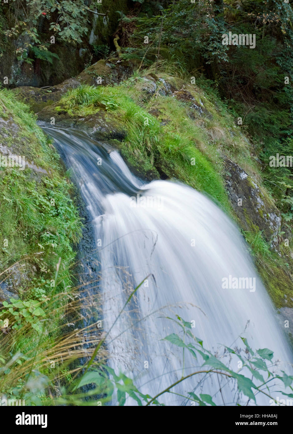 waterfall, biotop, stairs, leaf, tree, flow, stone, conservation of ...