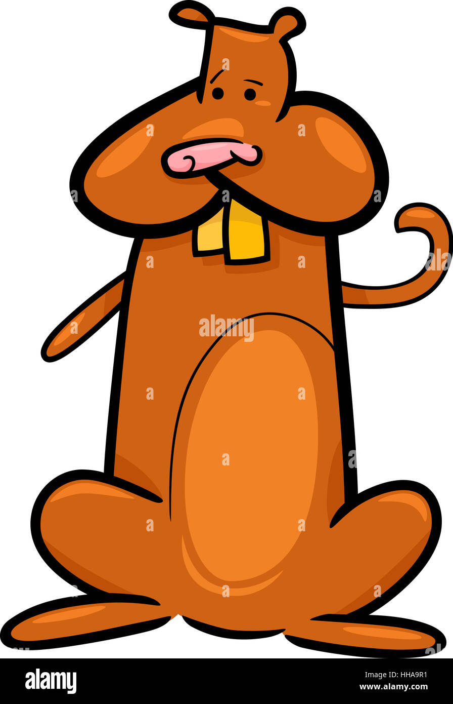 cartoon doodle illustration of funny domestic hamster Stock Photo - Alamy