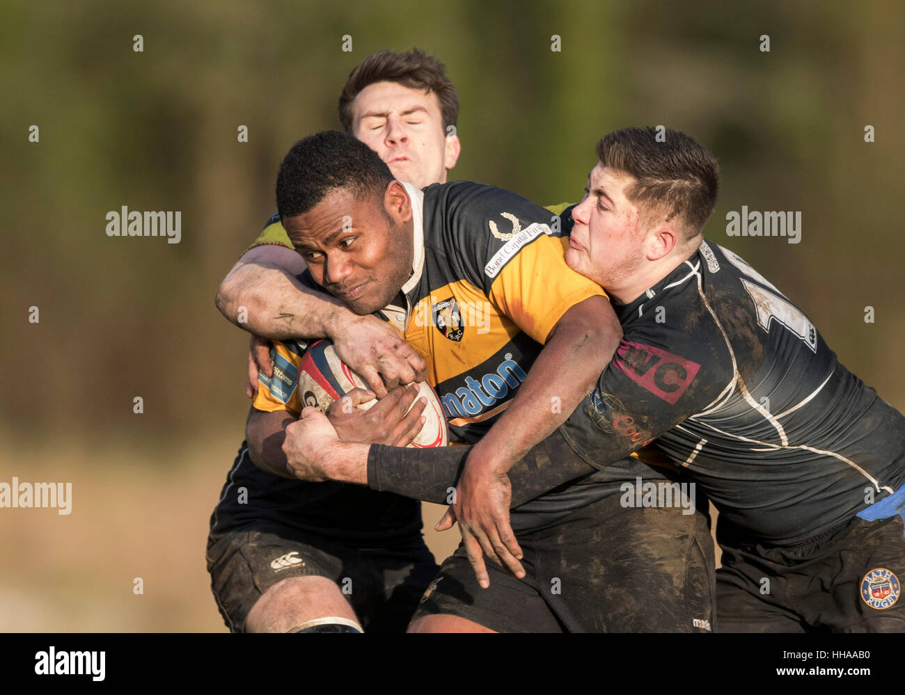 Sherborne rfc hi-res stock photography and images - Alamy