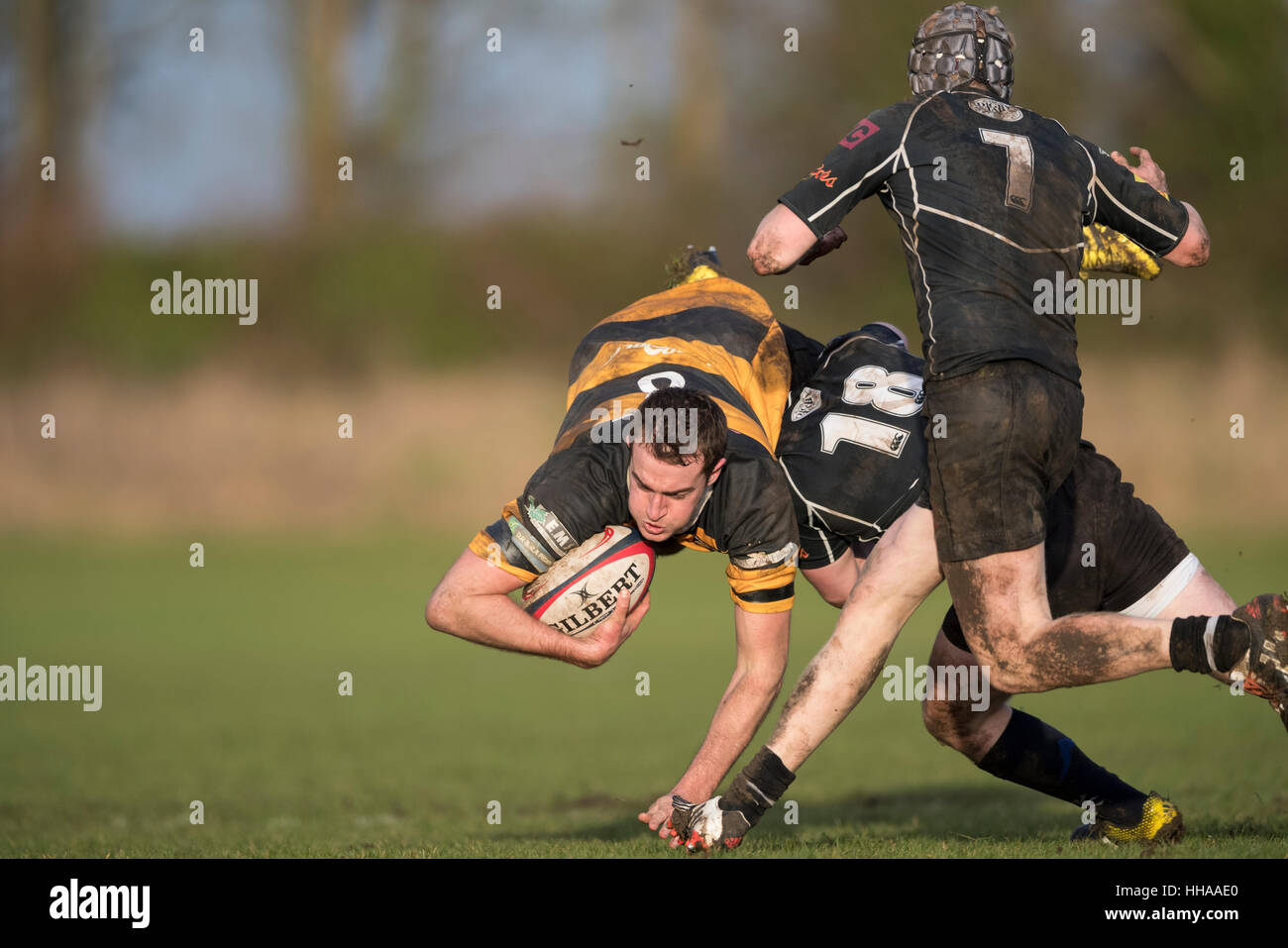 Sherborne rfc 1st xv vs hi-res stock photography and images - Alamy