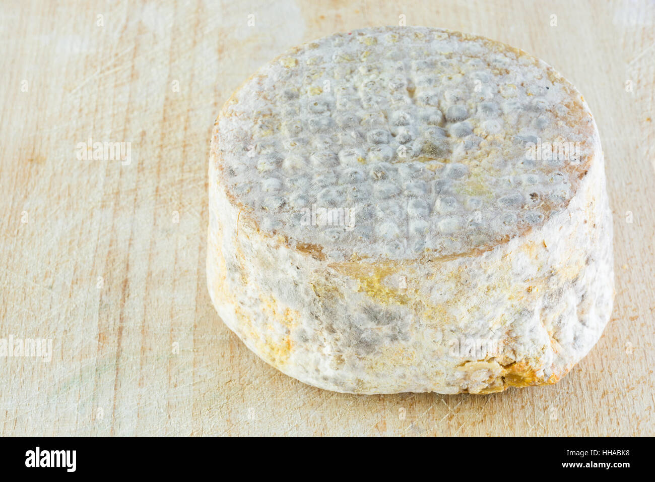 The form of hard cheese of a bloomy rind goat's milk, frost crust ...