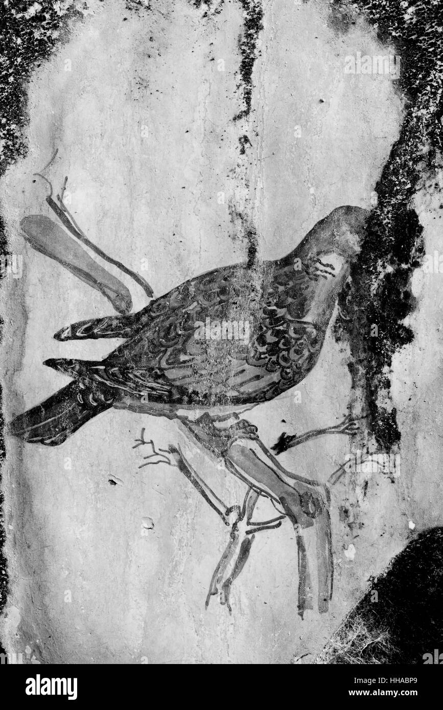Bird mural hi-res stock photography and images - Alamy