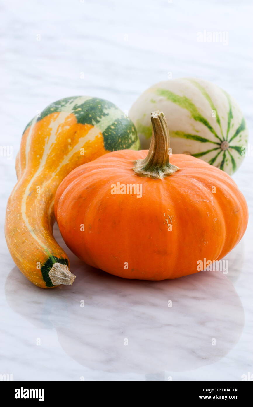 Beautiful organic assorted pumpkins or summer squash on carrara marble ...