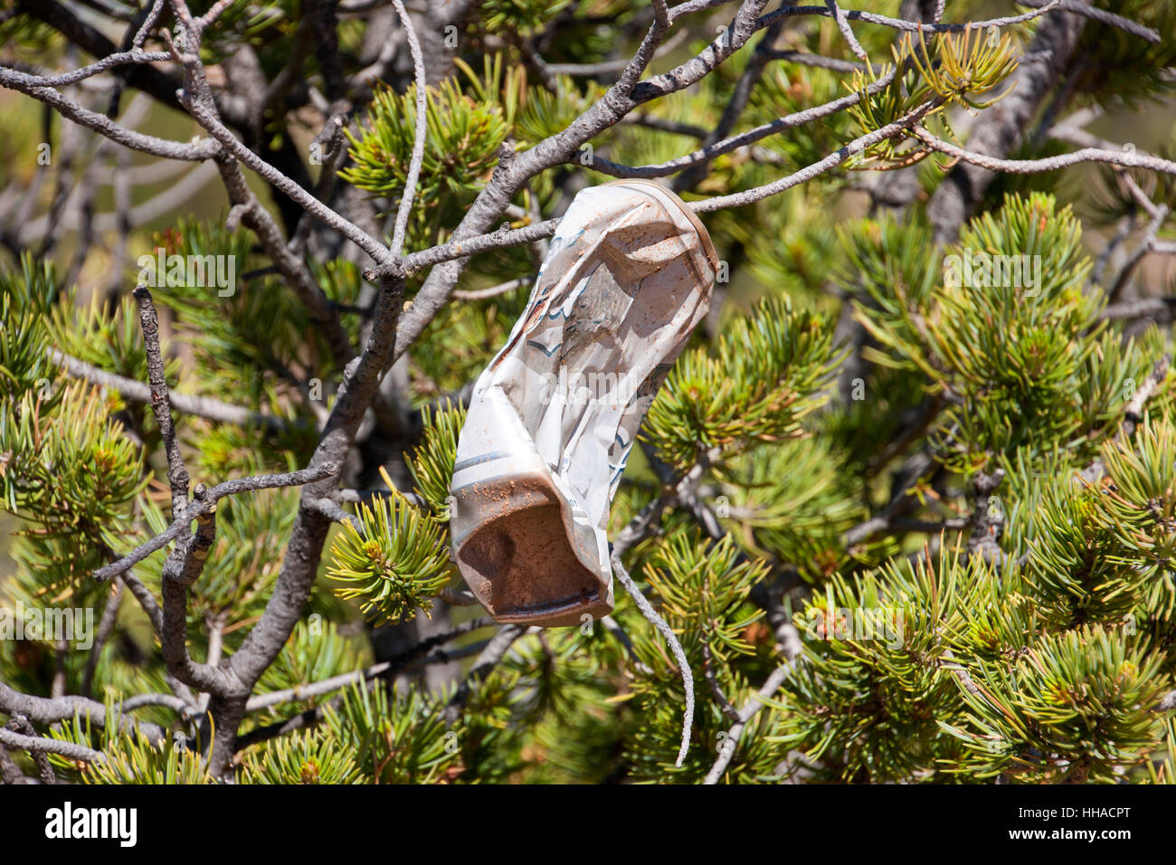 garbage in nature Stock Photo - Alamy