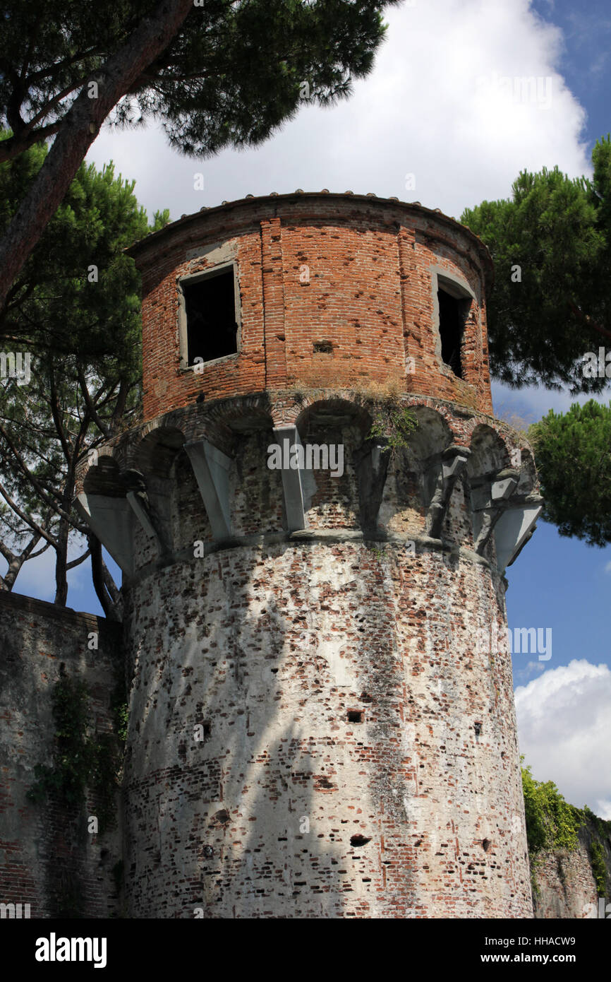 Fibonacci hi-res stock photography and images - Alamy