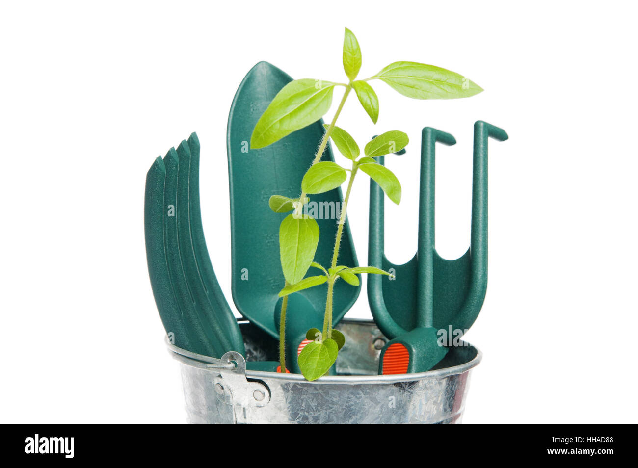 herb, cultivate, plant, implant, tool, object, tools, isolated, closeup ...