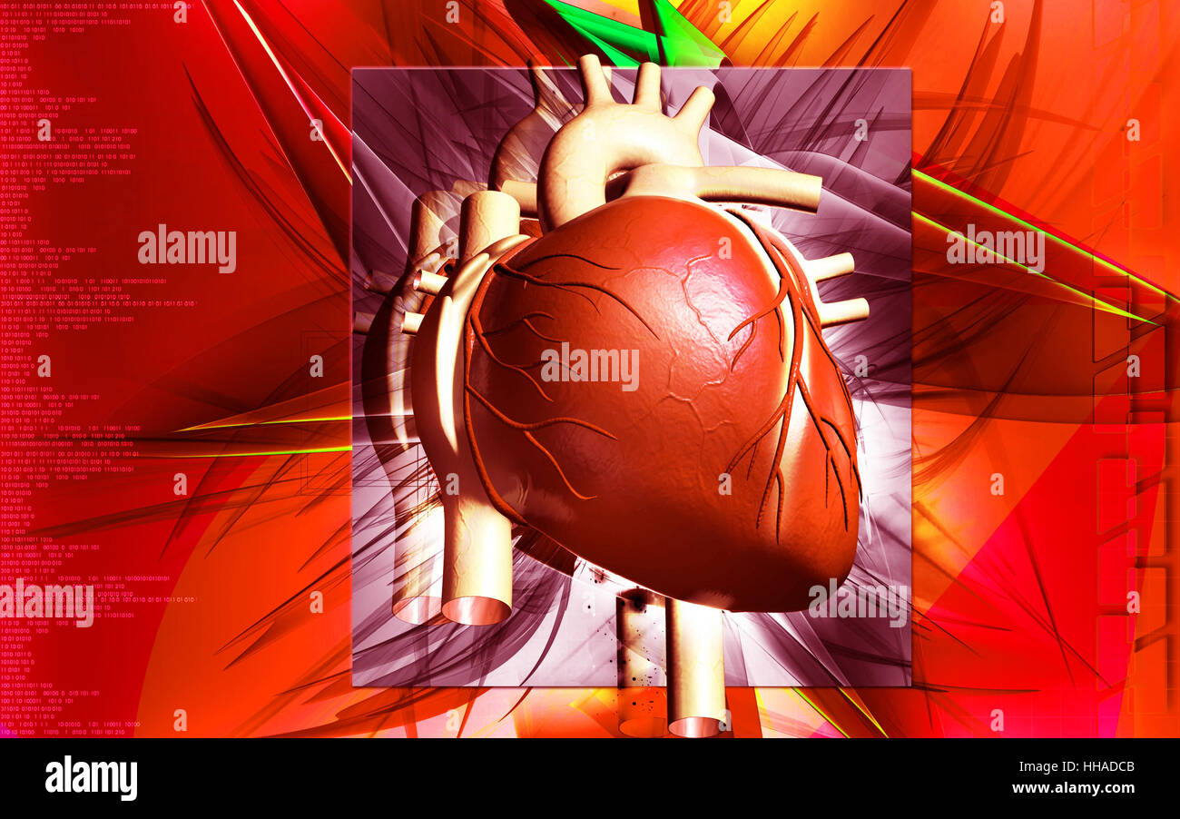 education, health, medicinally, medical, circulation, graphics, colour ...