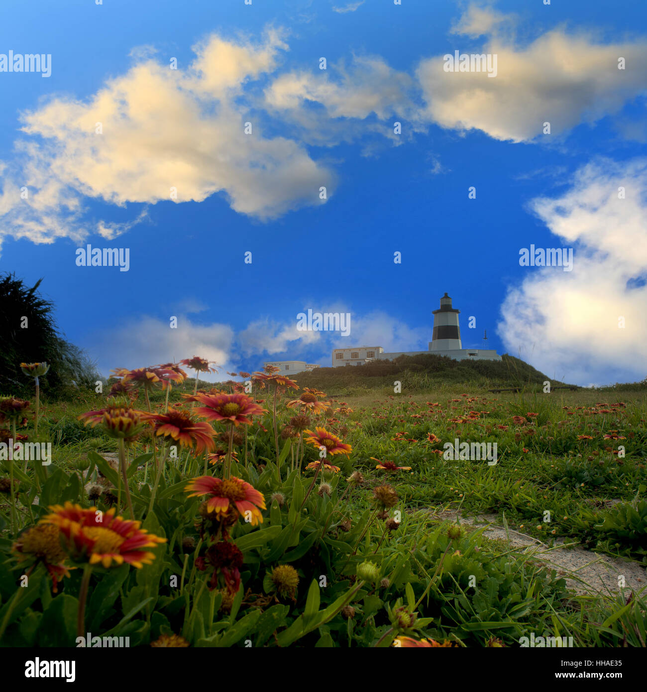 sign, signal, station, tower, night, nighttime, navigation, sunset ...