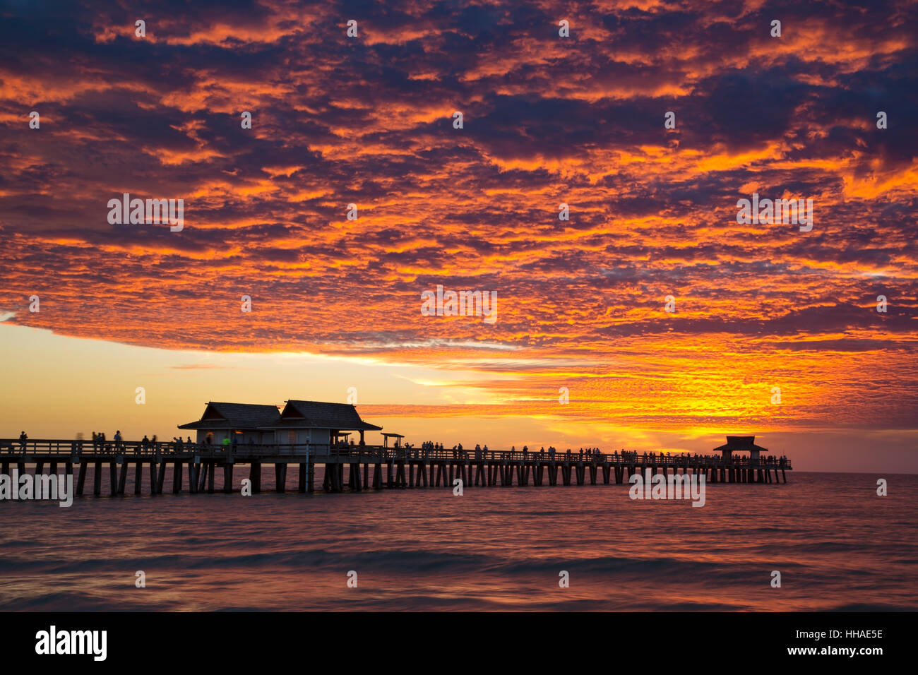 Naples florida sunset hi-res stock photography and images - Alamy