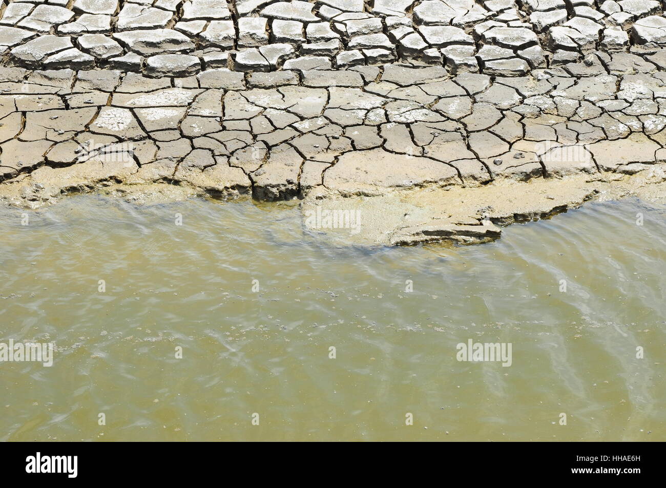 big, large, enormous, extreme, powerful, imposing, immense, relevant ...