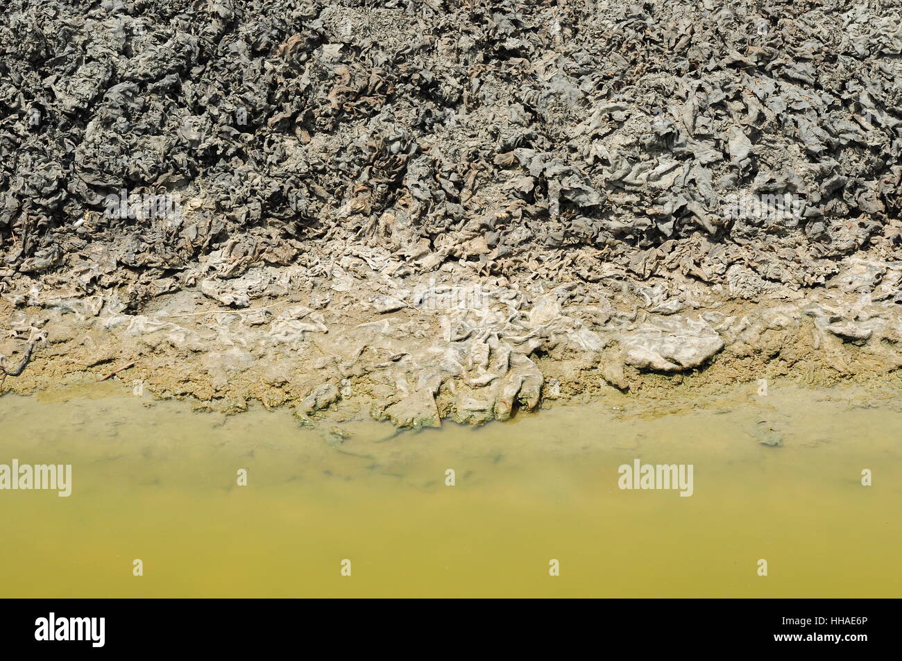 big, large, enormous, extreme, powerful, imposing, immense, relevant ...