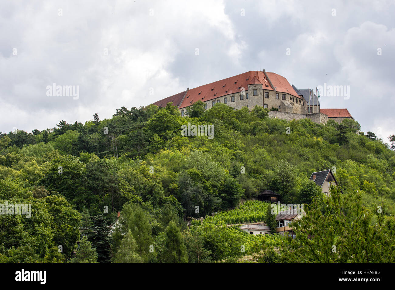 Neuenburg castle with vineyard hi-res stock photography and images - Alamy