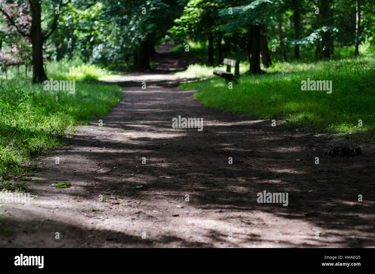 walk, go, going, walking, park, woods, track, footmark, footprint, path ...