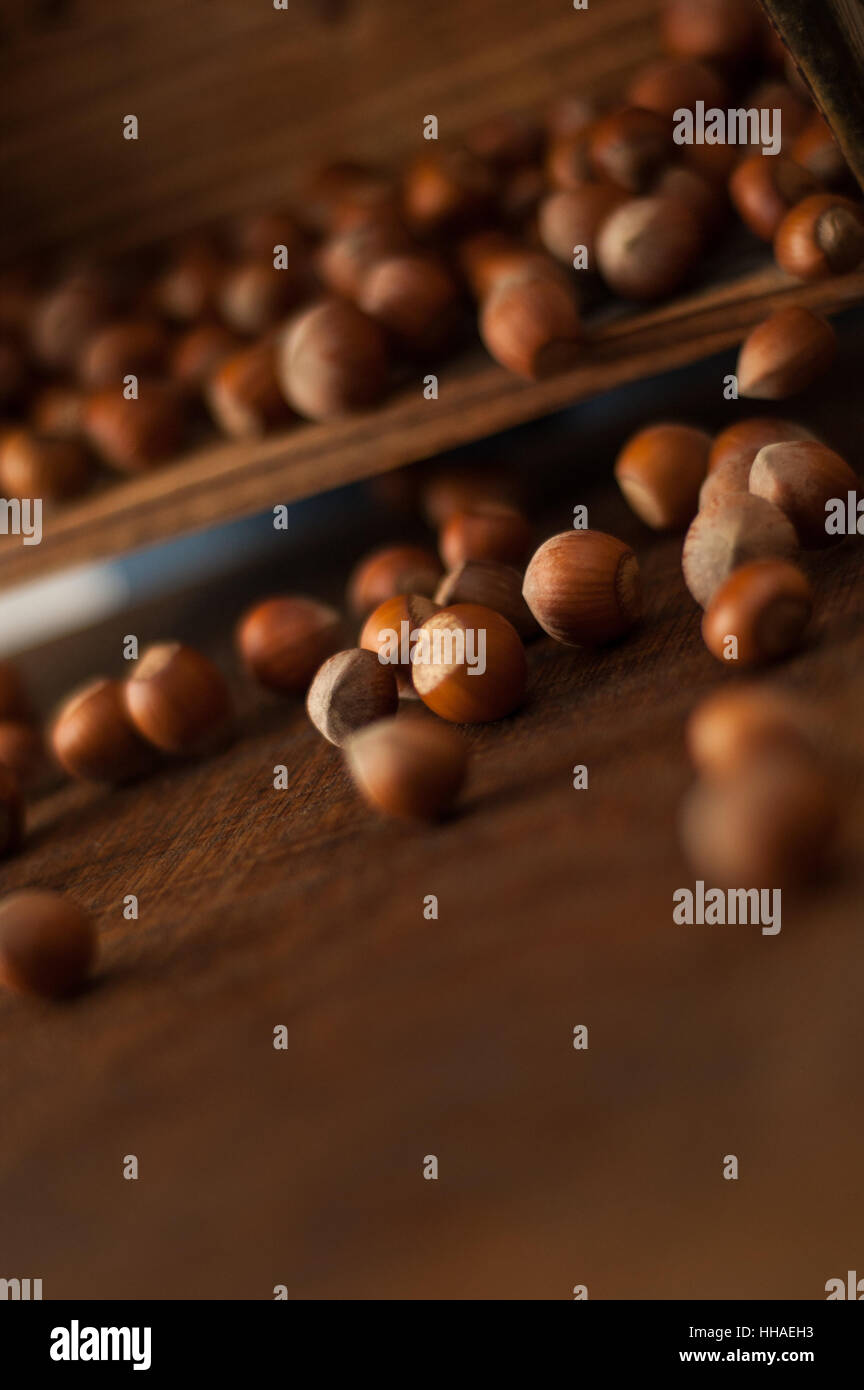 nuts, box, boxes, hazel, tumble, fall, autumn, motion, postponement ...