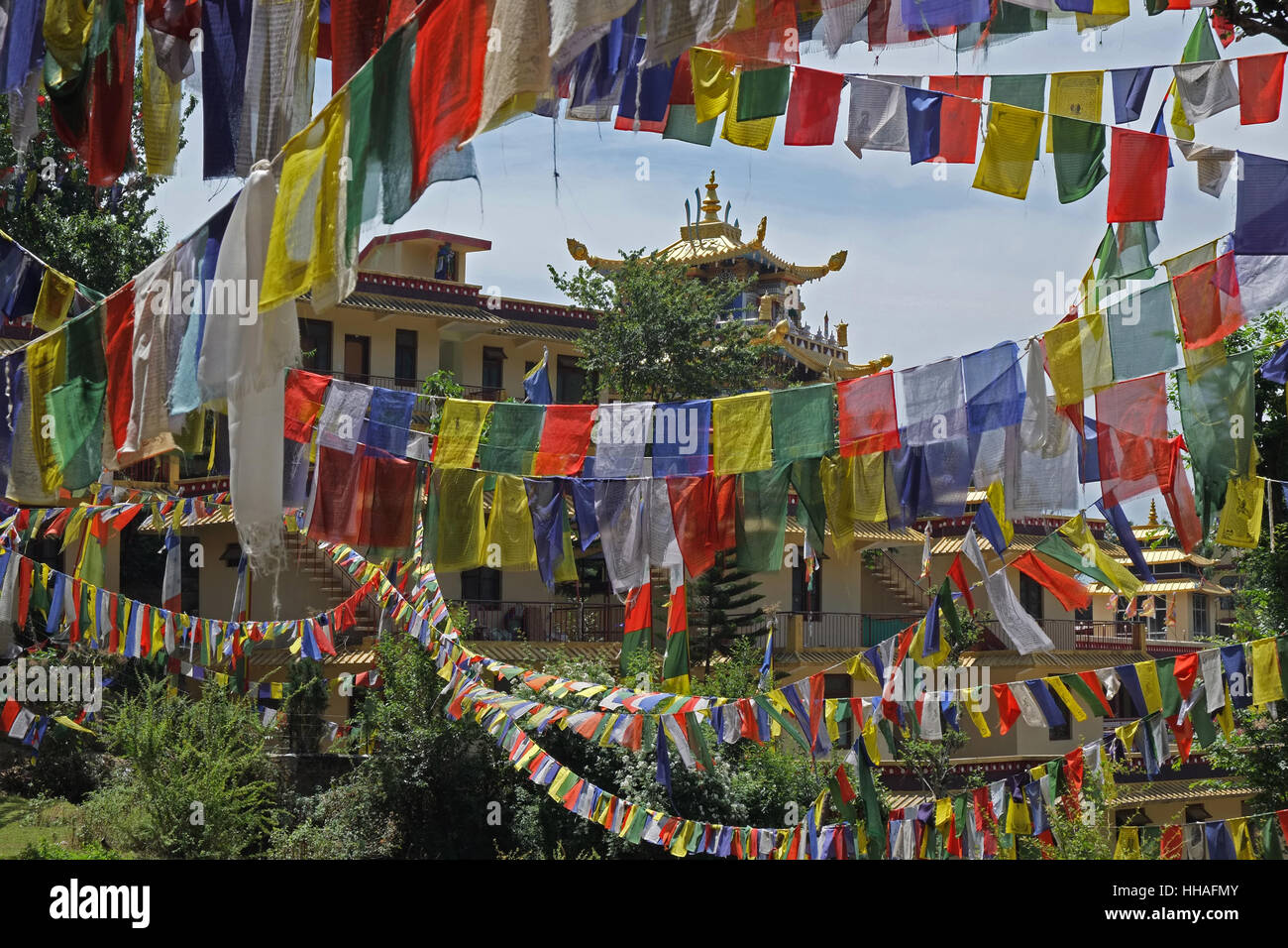 Prayer flags at Rewalsar Lake, Himachal Pradesh, India Stock Photo - Alamy