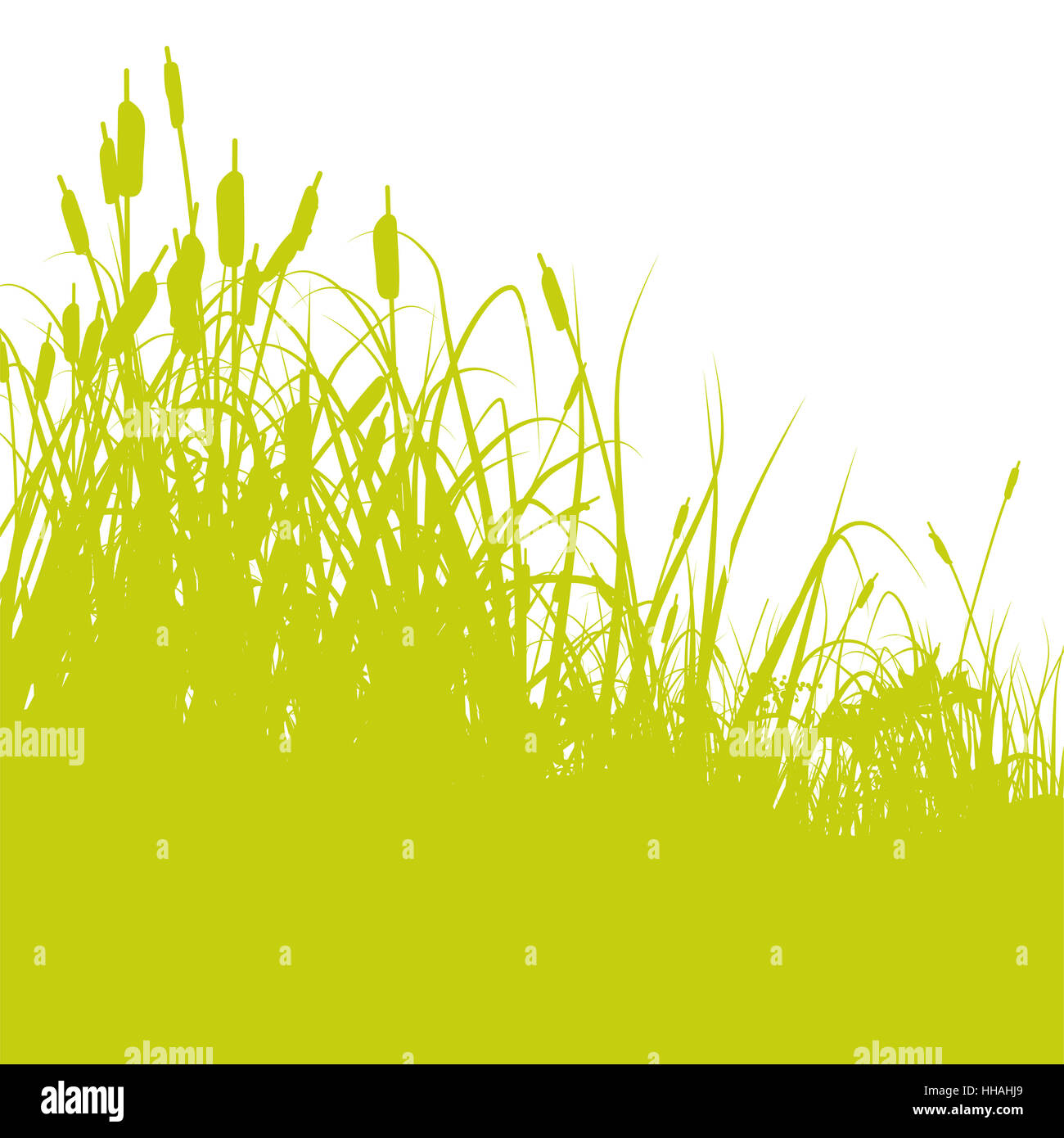 illustration, card, fresh water, pond, water, pale green, reed ...