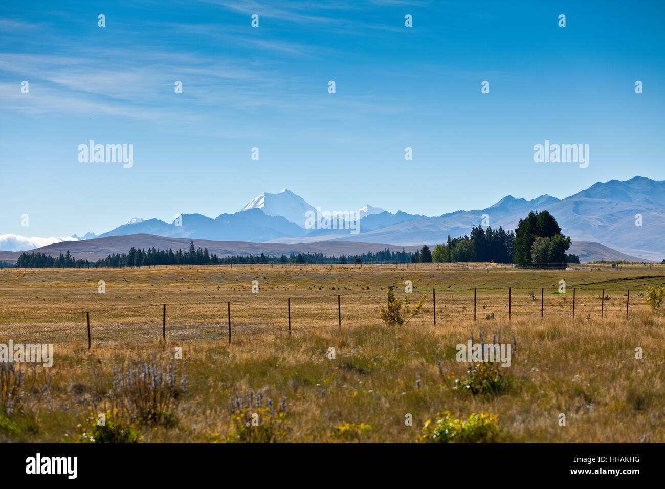 mackenzie country,new zealand,south island Stock Photo - Alamy