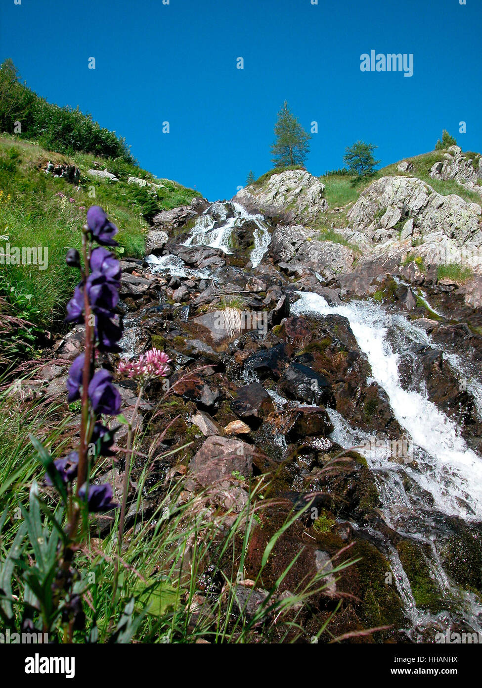 Stream water feature hi-res stock photography and images - Alamy