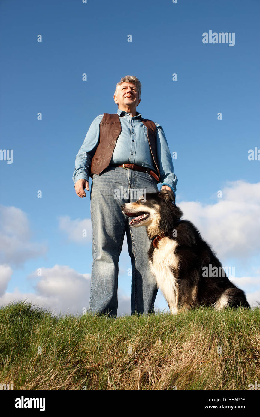 pet, outdoors, man, blue, animal, look, glancing, see, view, looking ...