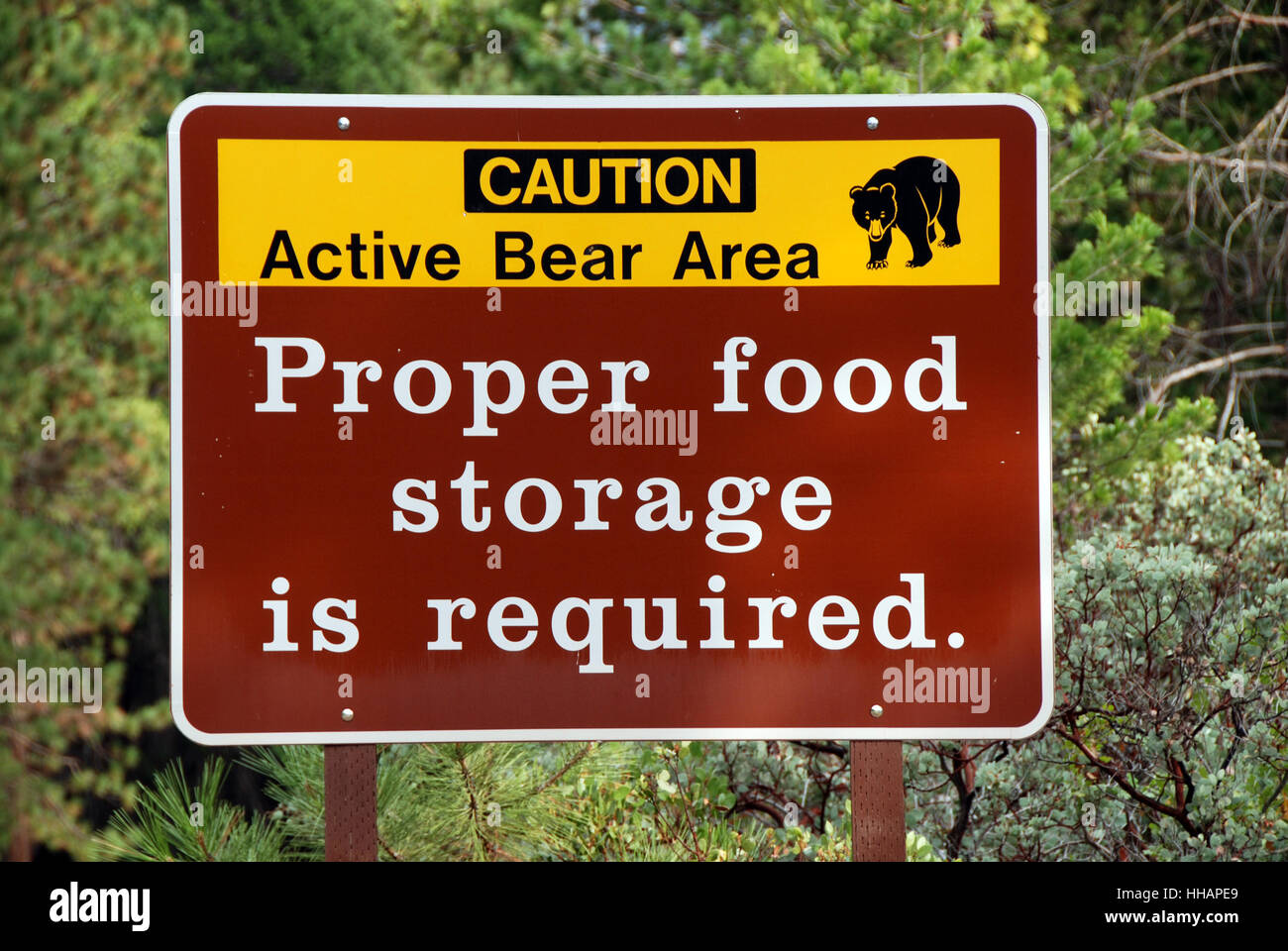 Bear food yosemite hi-res stock photography and images - Alamy