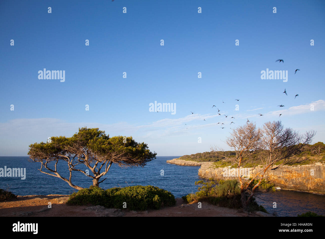 bay of cala pi Stock Photo - Alamy