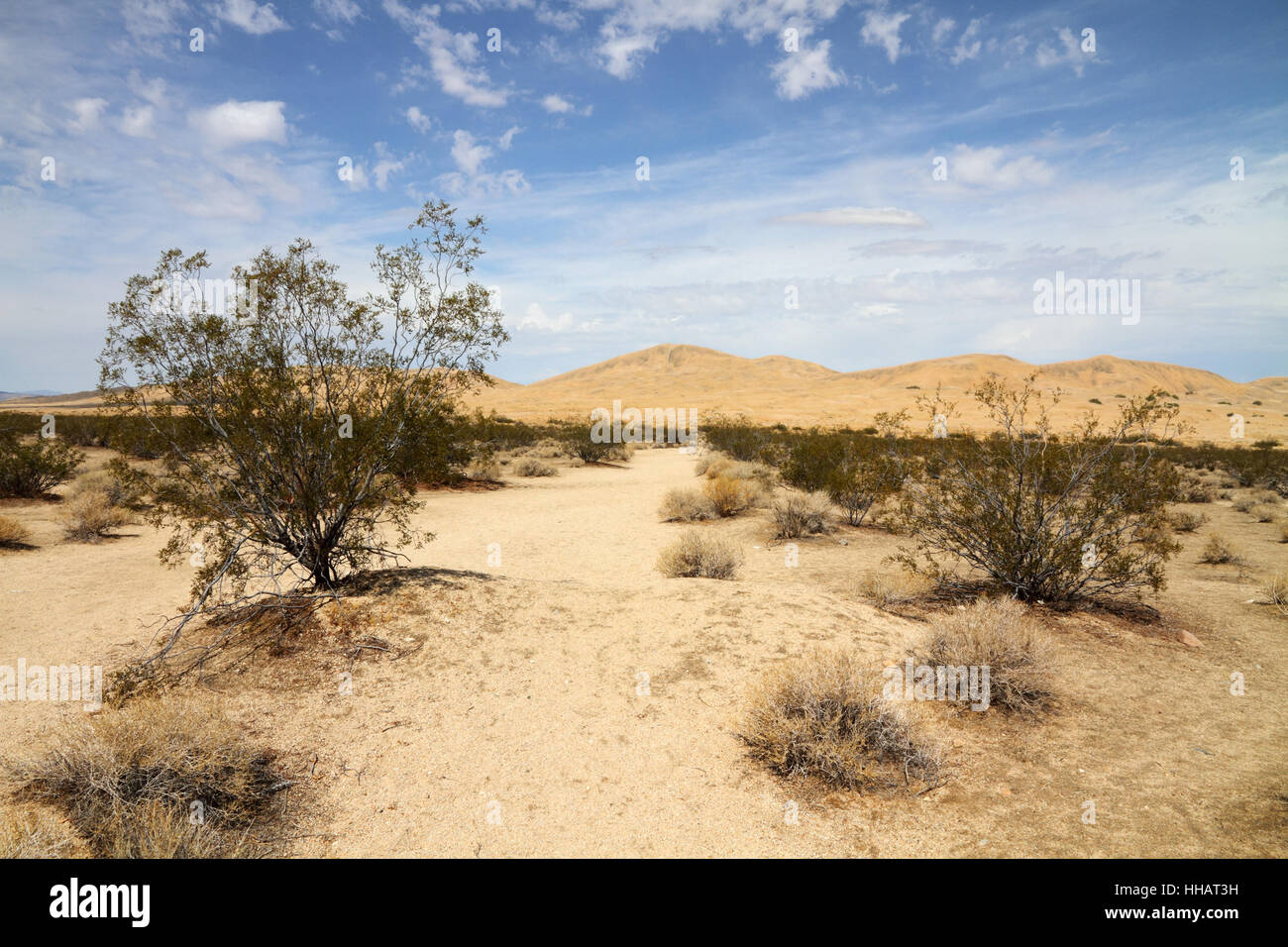 desert, wasteland, drought, dry, dried up, barren, warm, climate ...