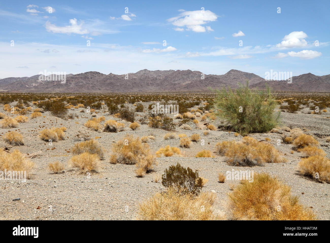 desert, wasteland, drought, dry, dried up, barren, warm, climate ...