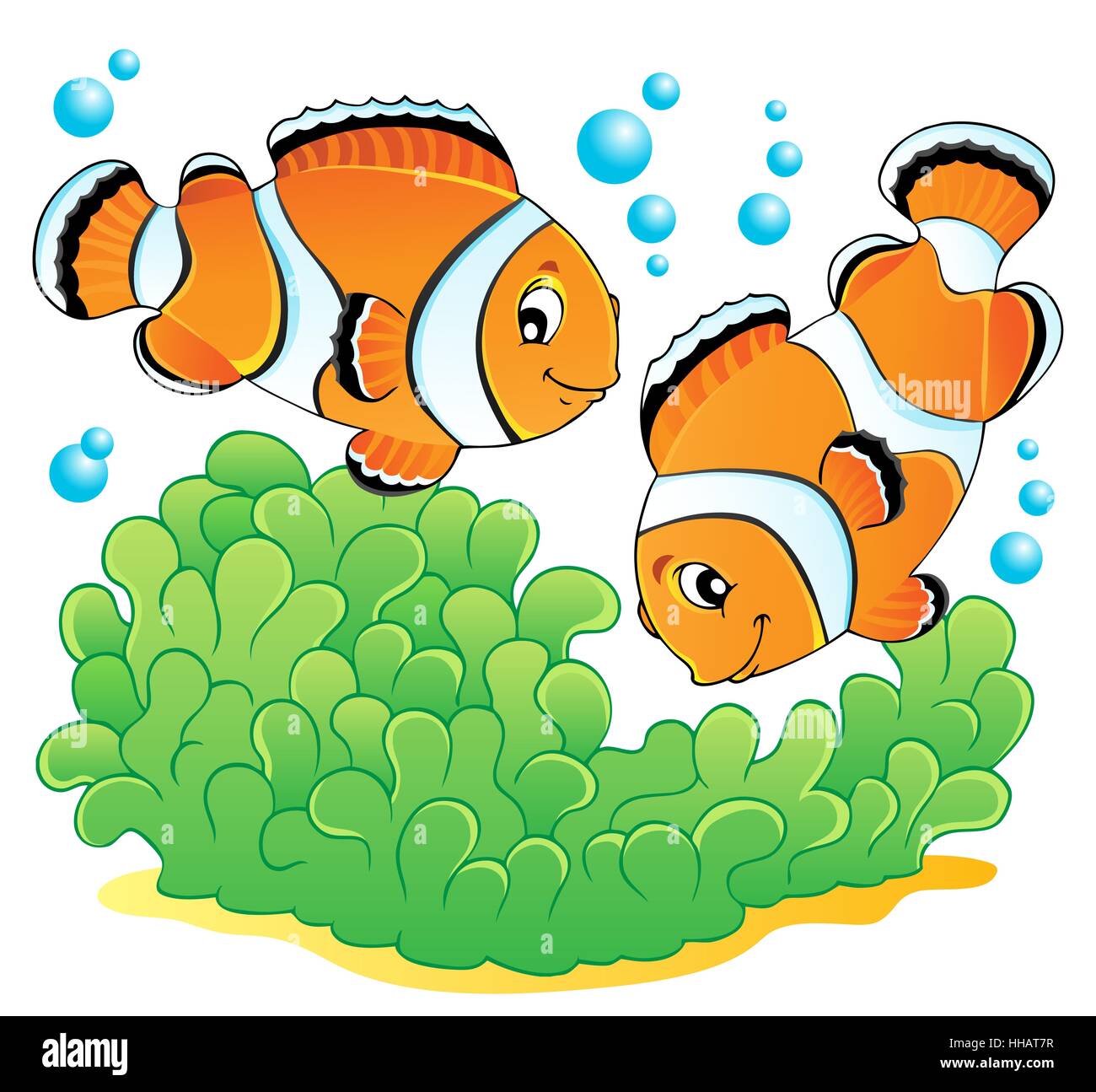 animal, fauna, fish, clown, salt water, sea, ocean, water, art, graphic ...