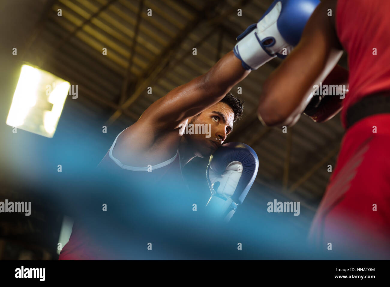 men, man, fight, fighting, fighter, boxer, boxing, humans, human beings ...