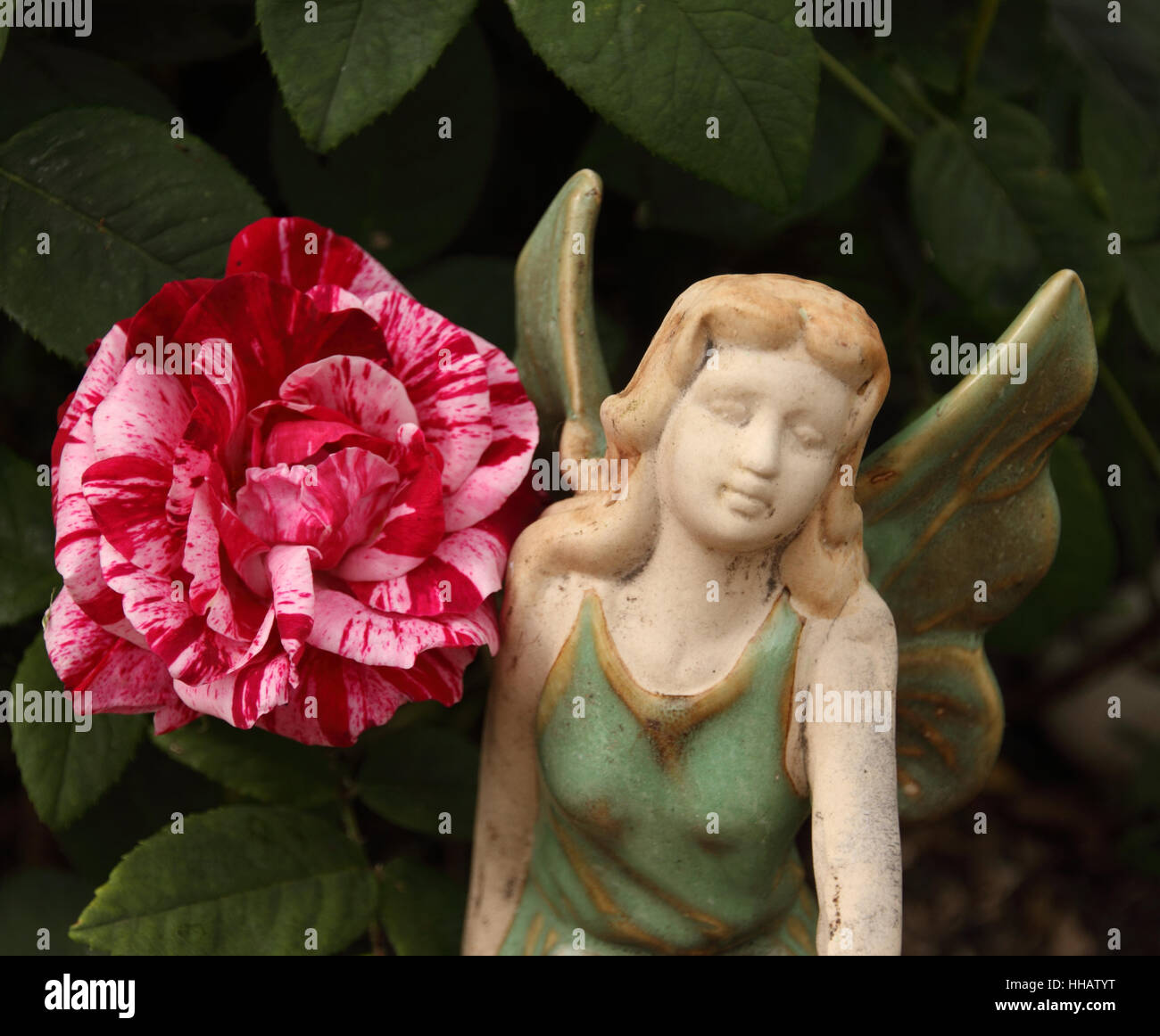 Pichard hi-res stock photography and images - Alamy