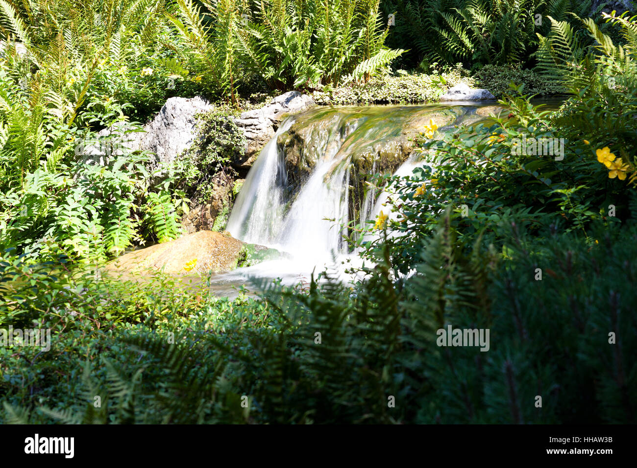waterfall in nature Stock Photo - Alamy