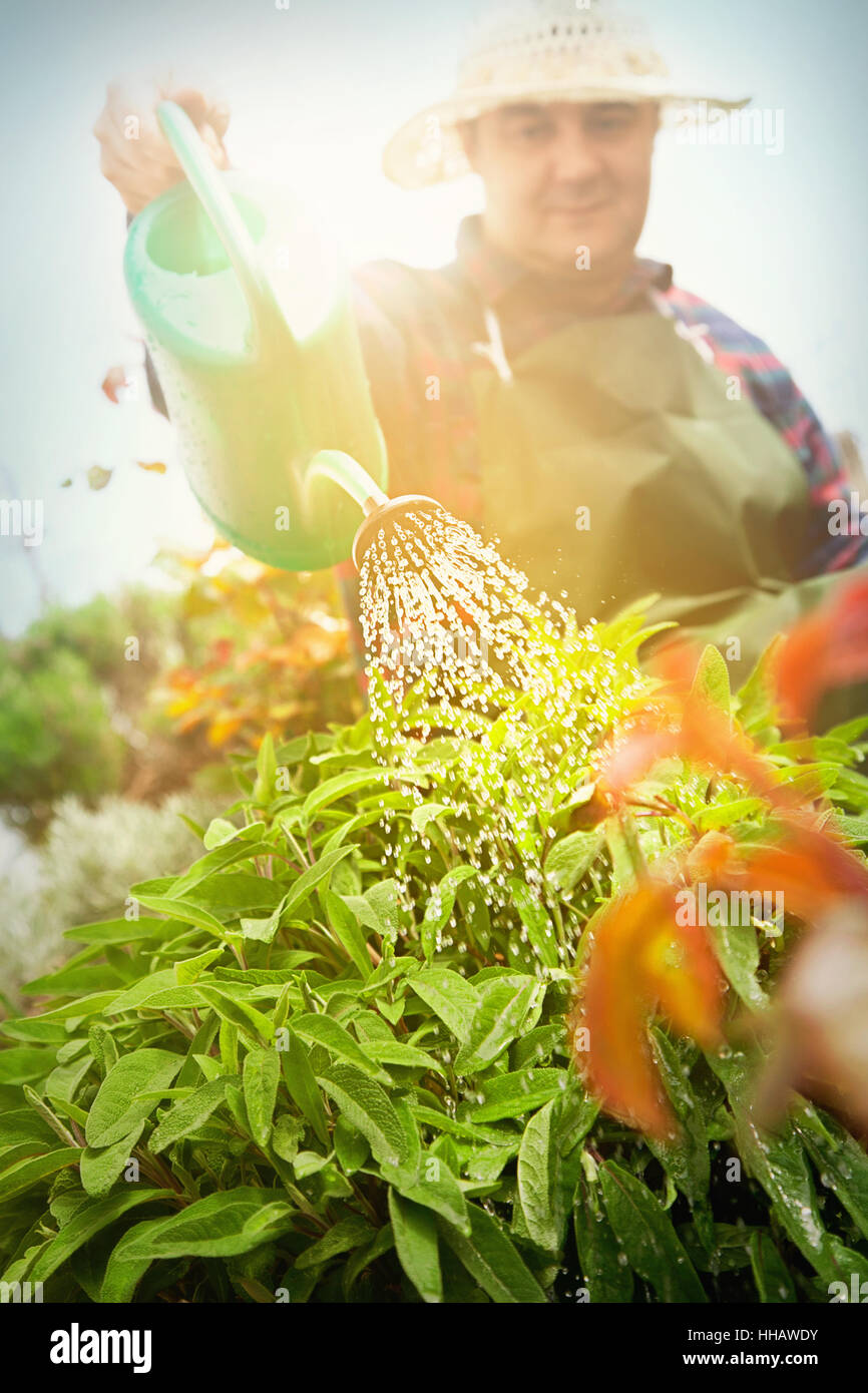 house, building, garden, flower, plant, spring, gardener, workers ...