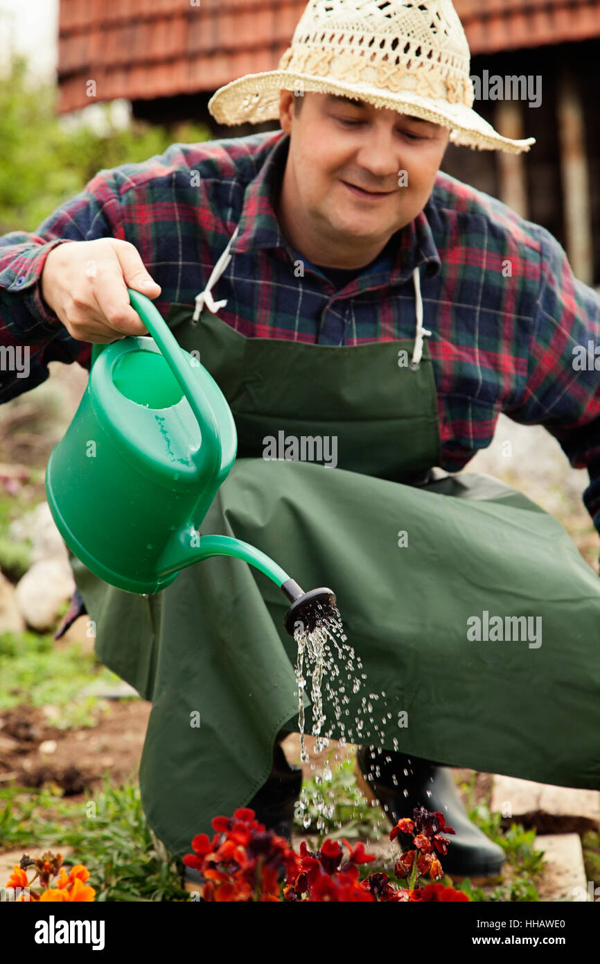 house, building, garden, flower, plant, spring, gardener, workers ...