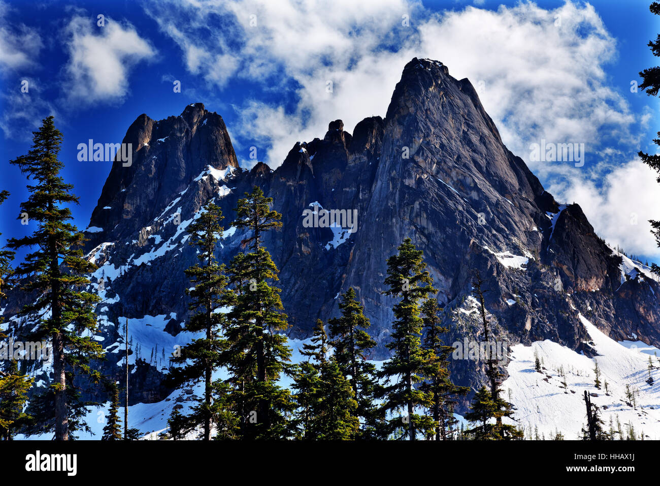travel, environment, enviroment, tree, trees, hill, mountains, cold ...