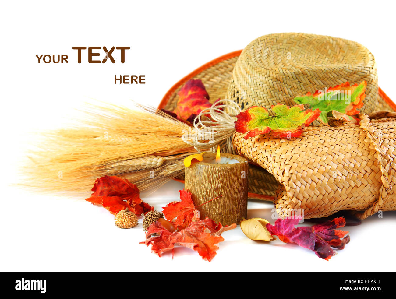 beautiful, beauteously, nice, leaf, objects, isolated, colour, model ...