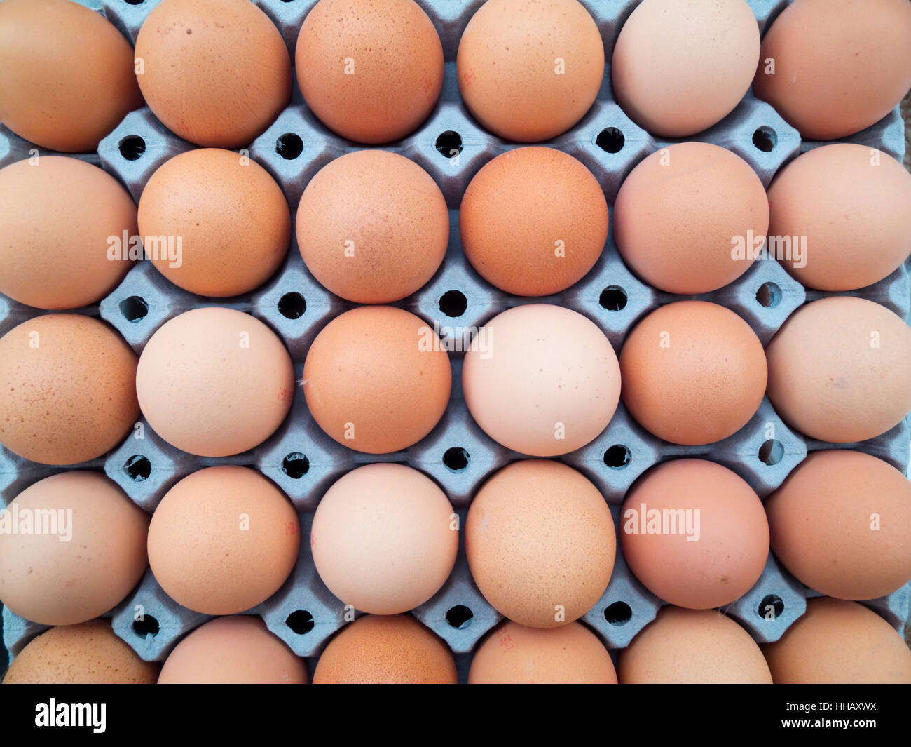 order, eggs, some, several, a few, food, aliment, object, objects ...