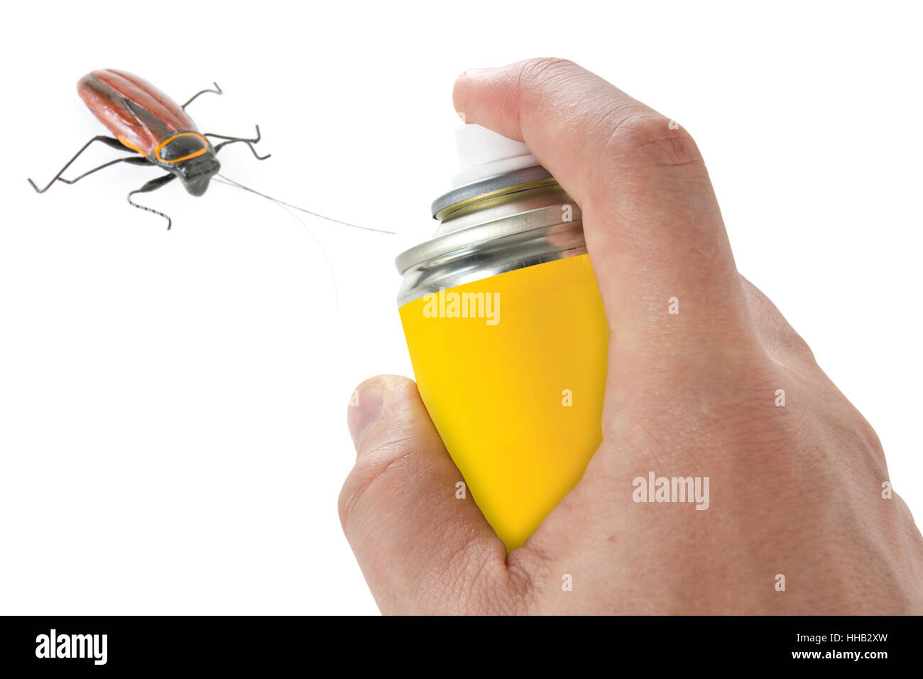 isolated, model, design, project, concept, plan, draft, insect, bottle ...