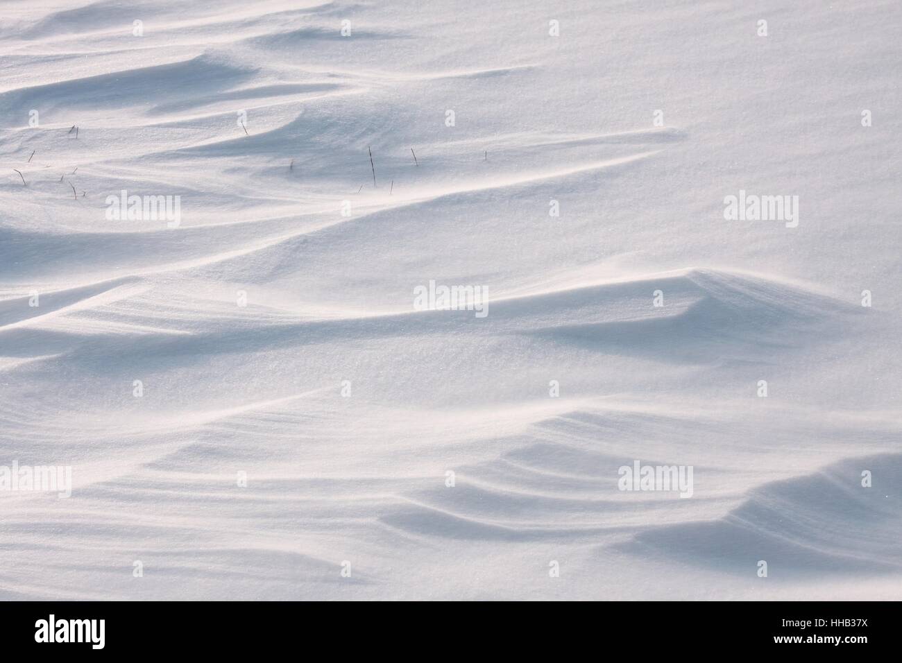Snow untouched field texture hi-res stock photography and images - Alamy