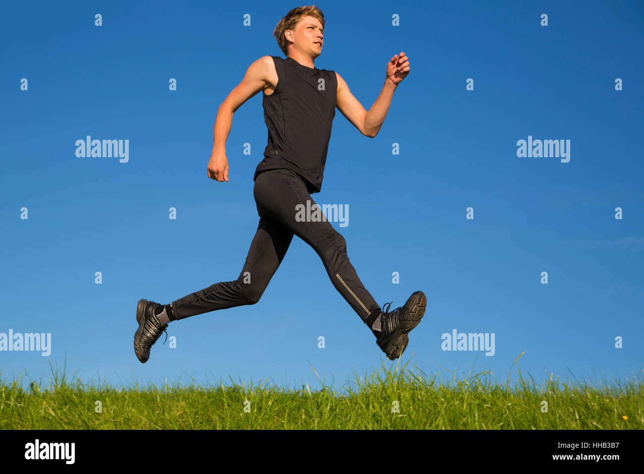 guy, sport, sports, isolated, lifestyle, male, masculine, portrait ...