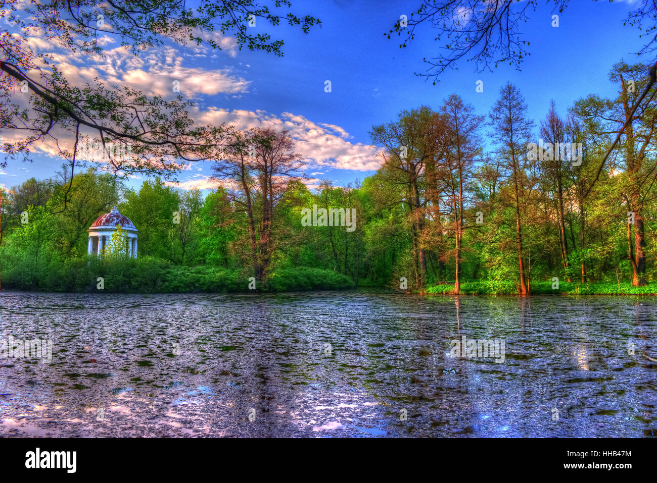 Summer landscape. Green trees around the lake Stock Photo - Alamy