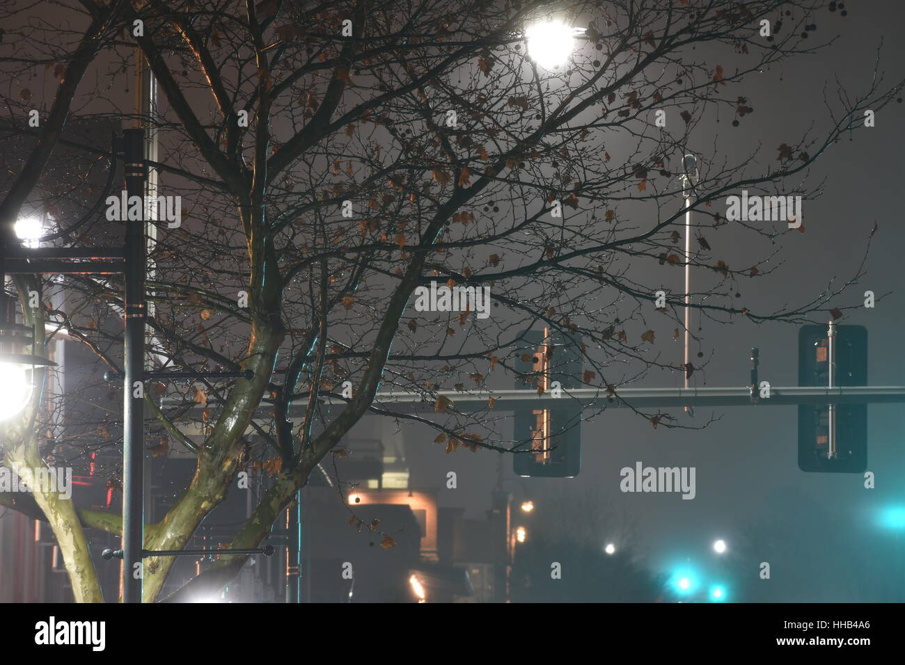 Downtown Traffic Light at Night Stock Photo - Alamy