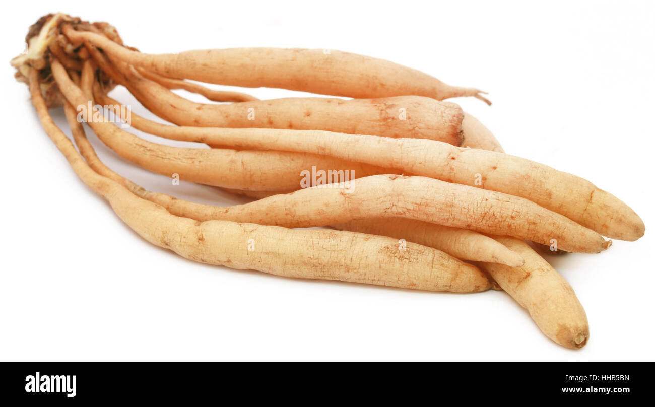 Asparagus Root Powder