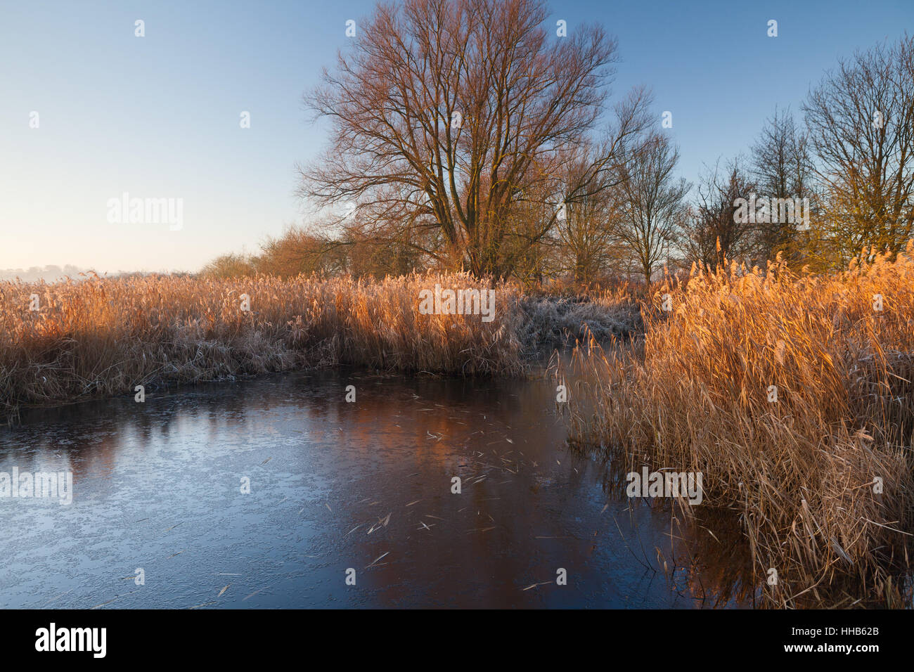 A bright and cold winter morning at the Far Ings National Nature ...
