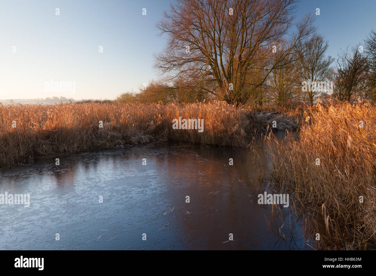Far ings national nature reserve hi-res stock photography and images ...