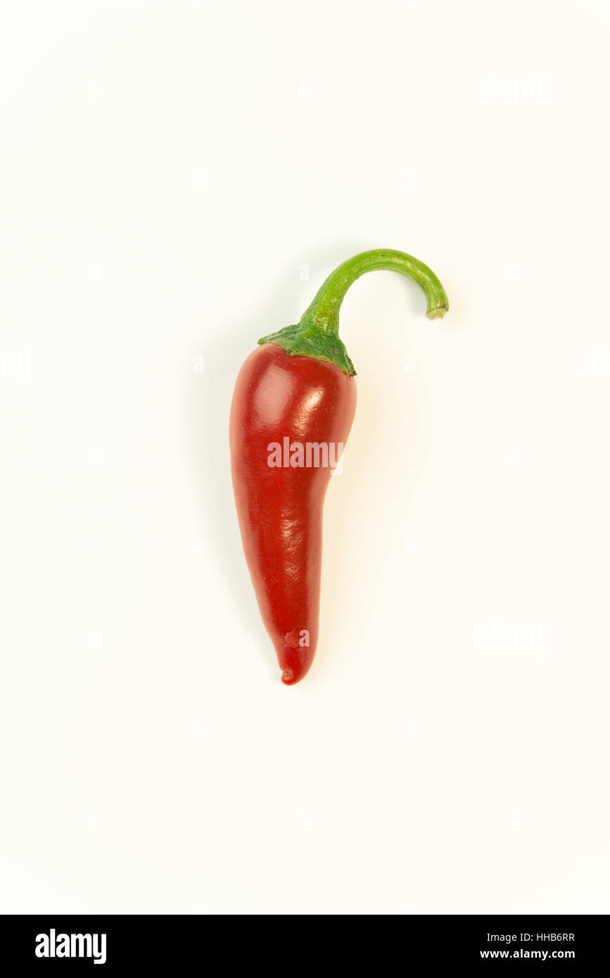 One red chilli hi-res stock photography and images - Alamy