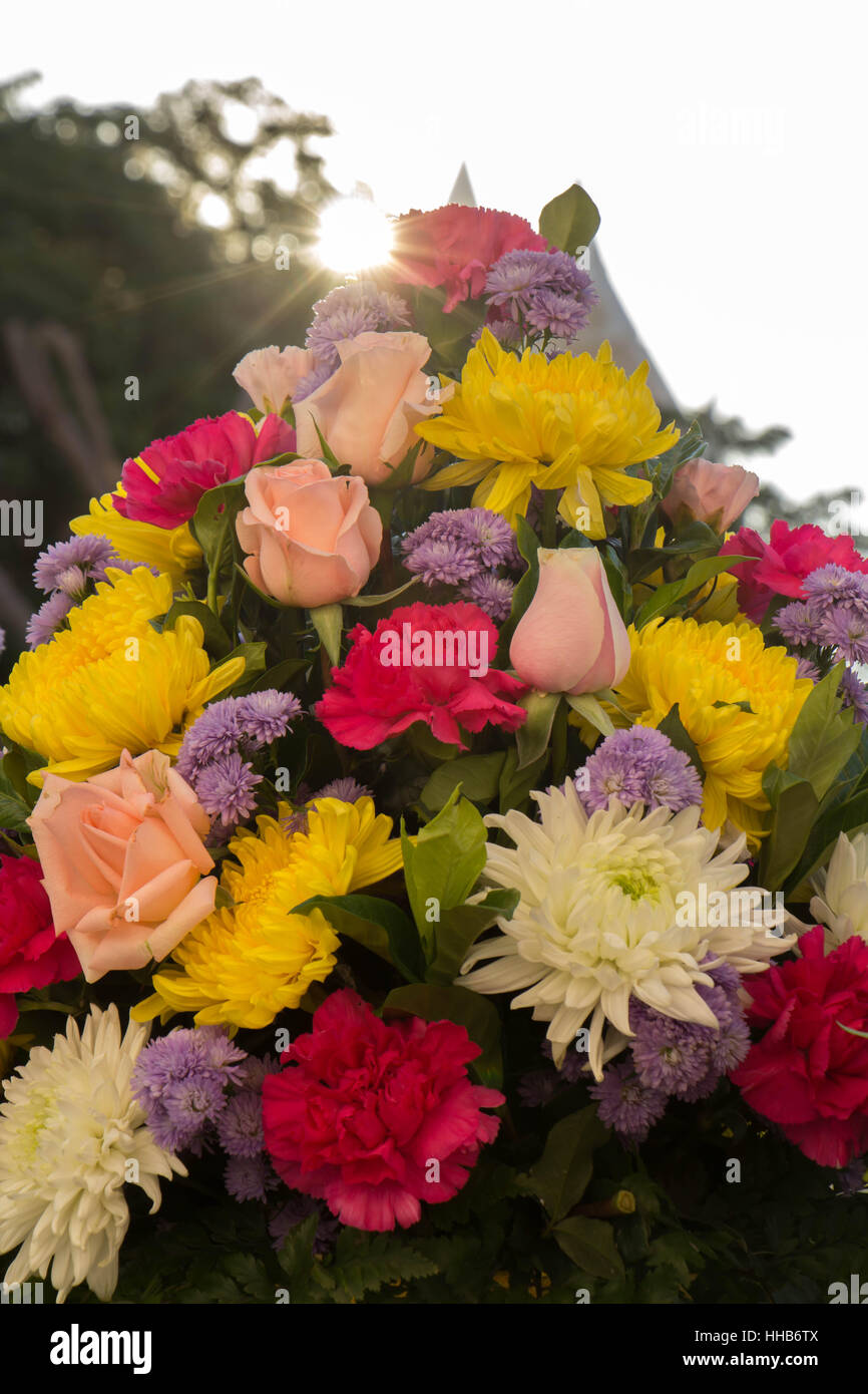 Abstract background of flowers. Close-up Stock Photo - Alamy