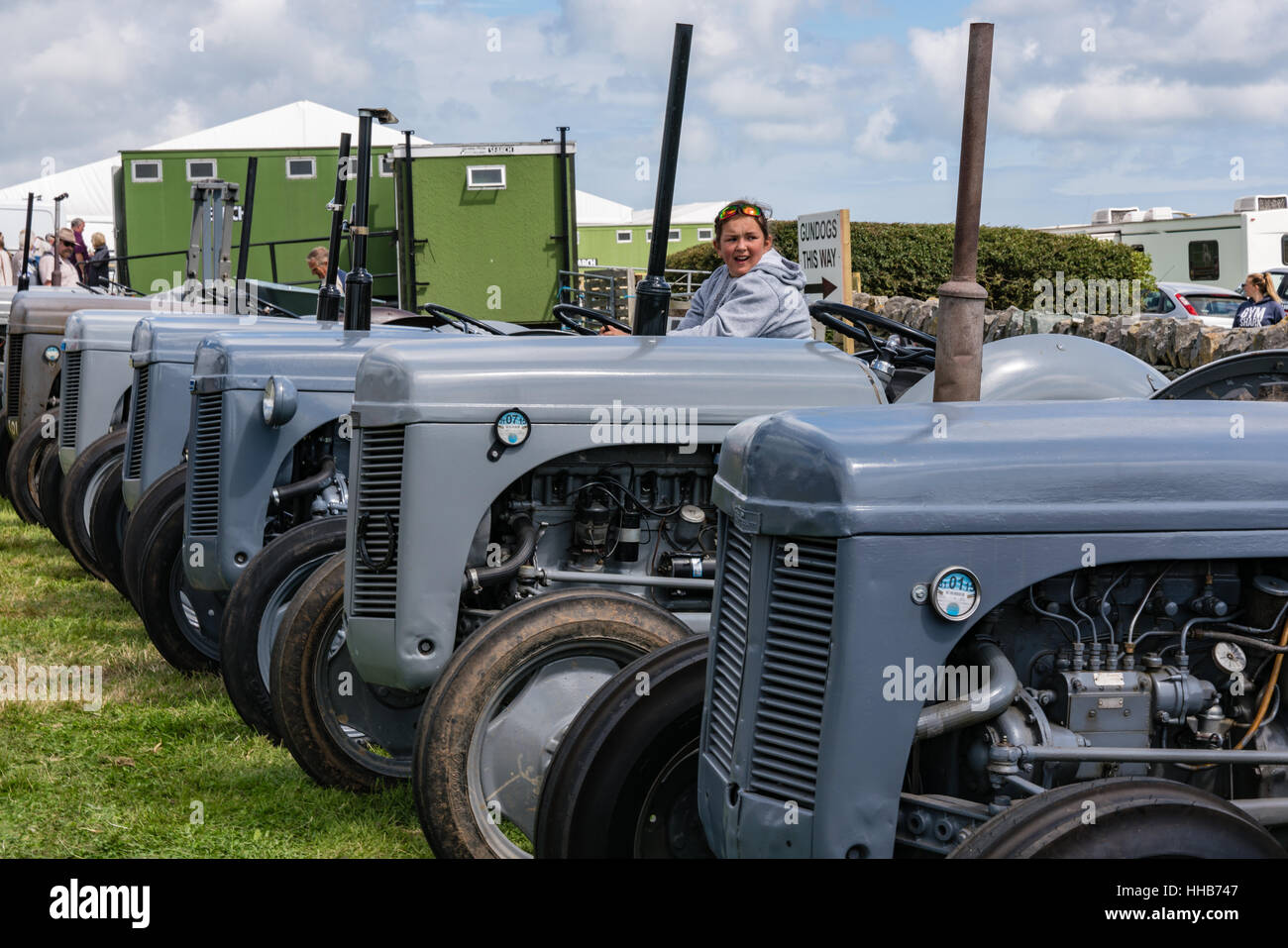 A young girl tries the wheel of a vintage tractor in a row of Ferguson ...